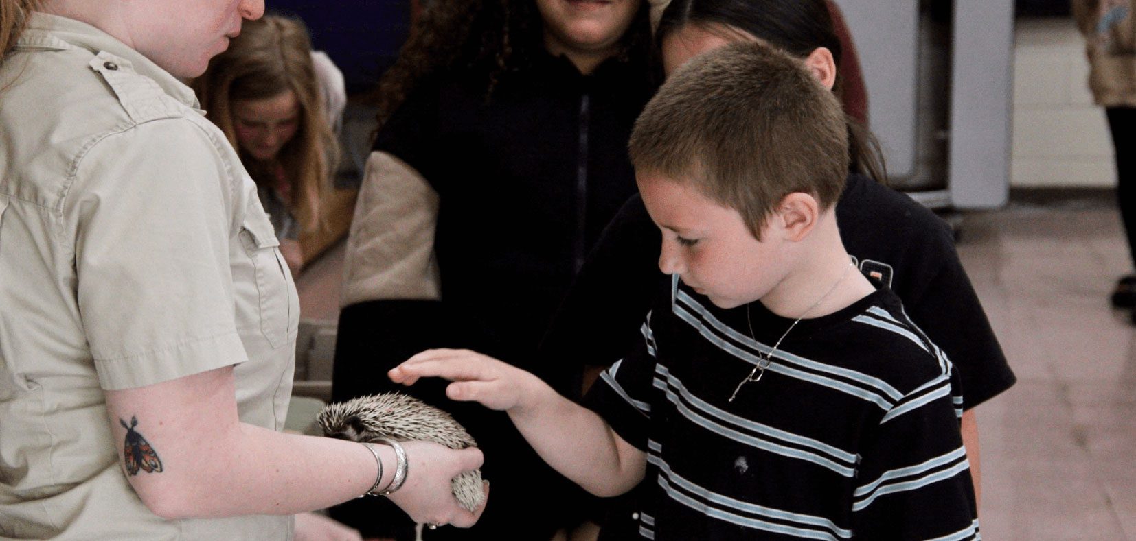 About | Falmouth VIPS